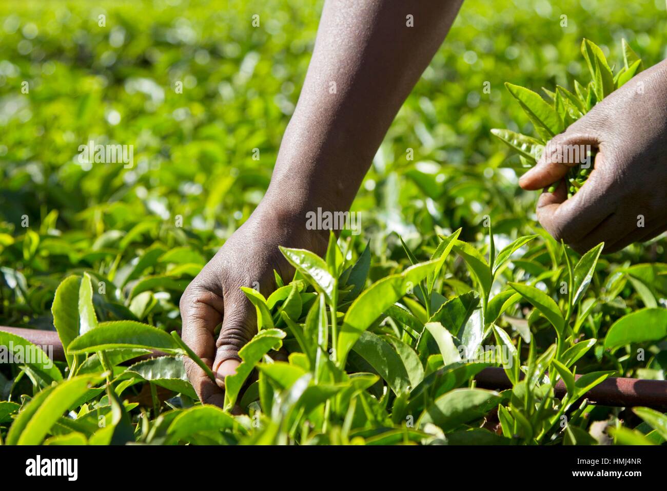 Ktda hi-res stock photography and images - Alamy