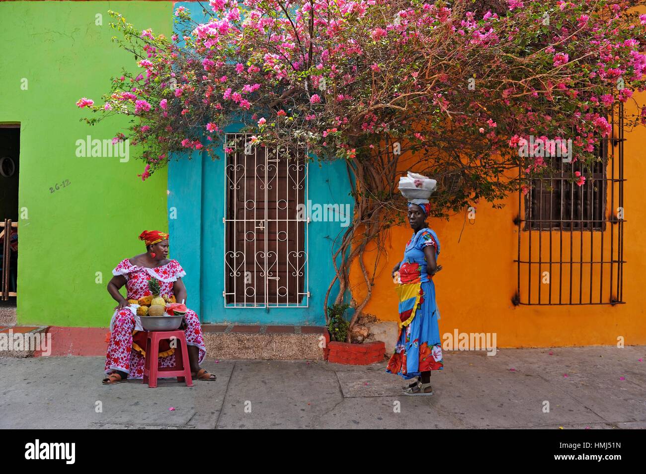 Palenque Colombia High Resolution Stock Photography and Images - Alamy