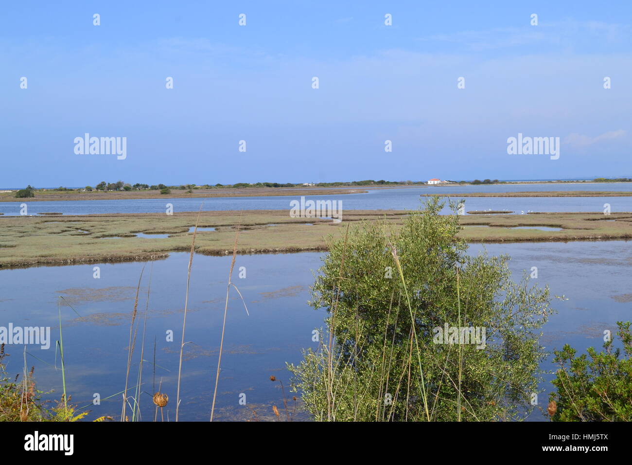 Irregular shape land hi-res stock photography and images - Alamy