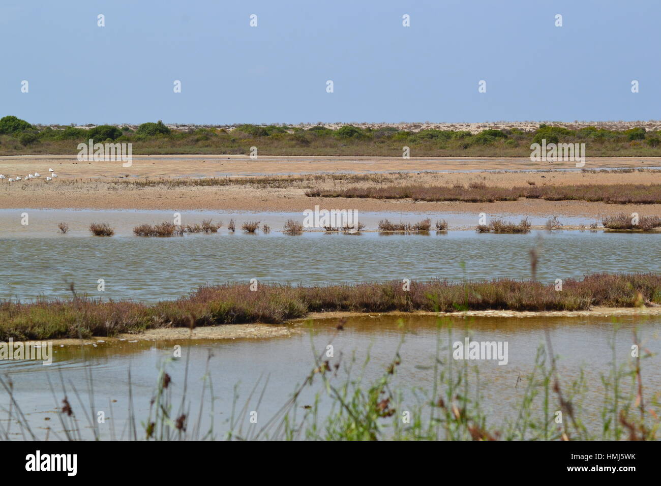 Irregular shape land hi-res stock photography and images - Alamy