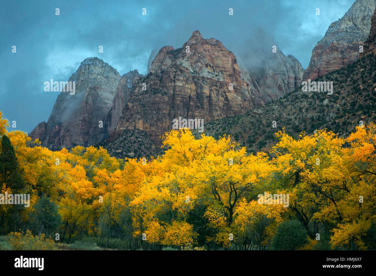 Fall colors have arrived at Zion Canyon at Zion National Park, Utah ...