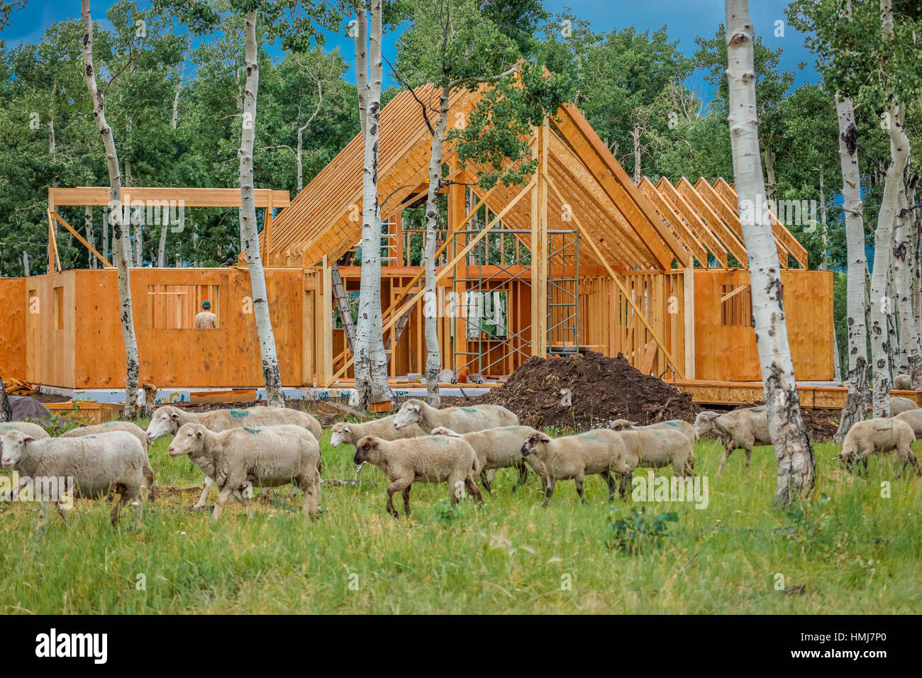 July 14, 2016 - Construction of a "A" Frame House owned by photographer ...