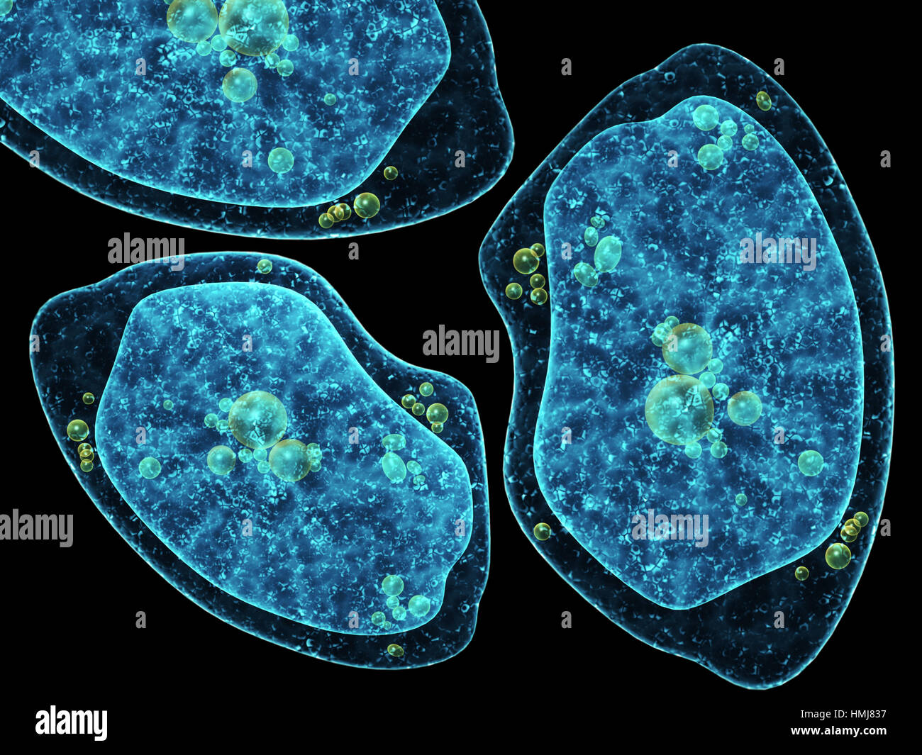 Three amoebas on abstract black background. 3d render Stock Photo - Alamy