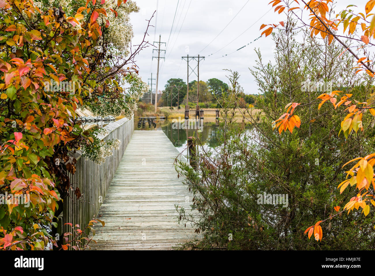 Autumn Color the Chesapeake Bay Shore and Harbor in St Michaels ...