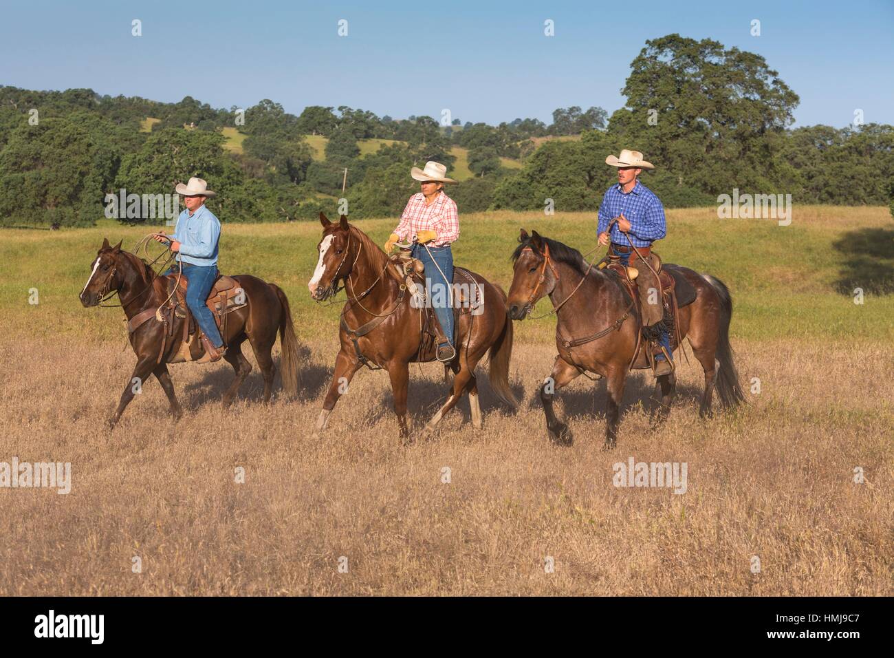 Three cowboys on horseback hi-res stock photography and images - Alamy