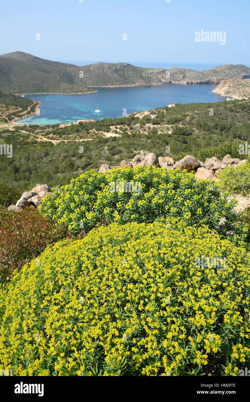 Cabrera archipelago maritime terrestrial national park hi-res stock ...