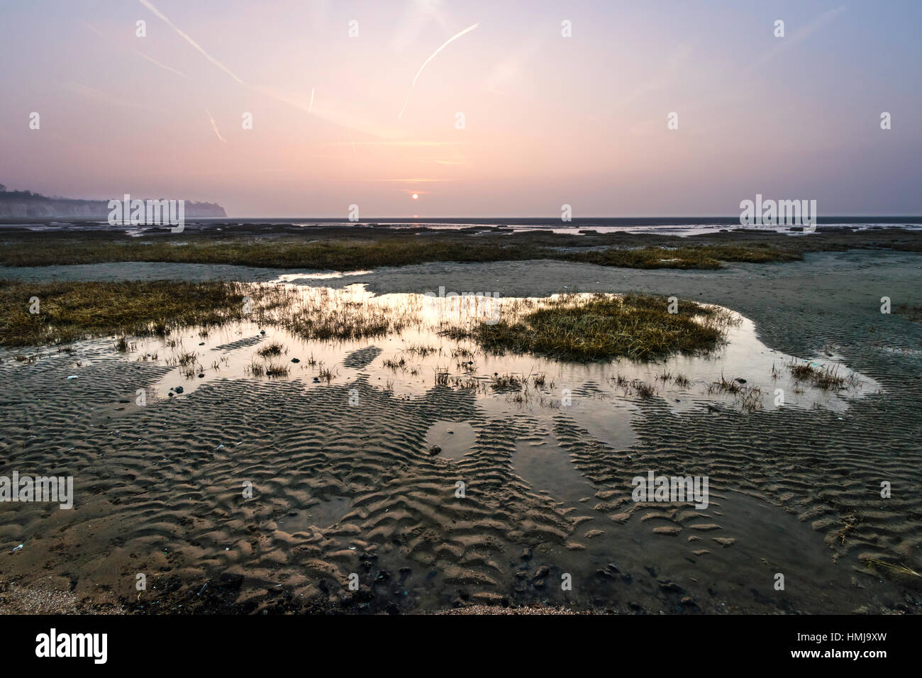English cordgrass hi-res stock photography and images - Alamy