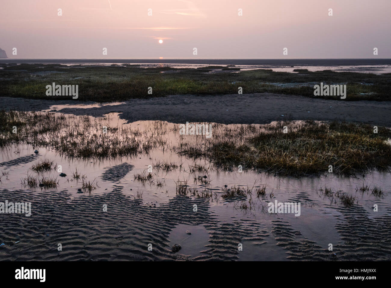 English cordgrass hi-res stock photography and images - Alamy