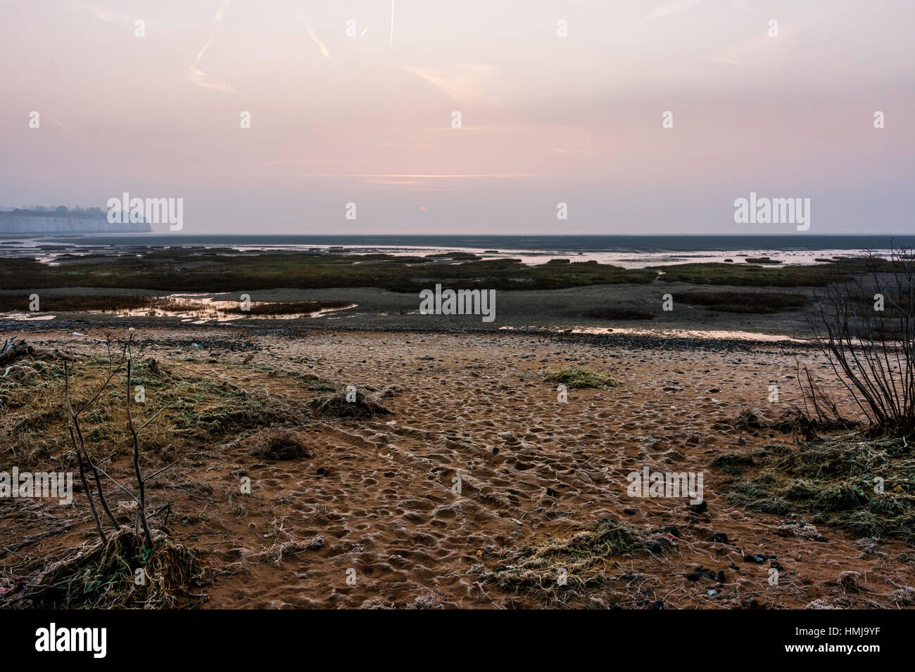 English cordgrass hi-res stock photography and images - Alamy