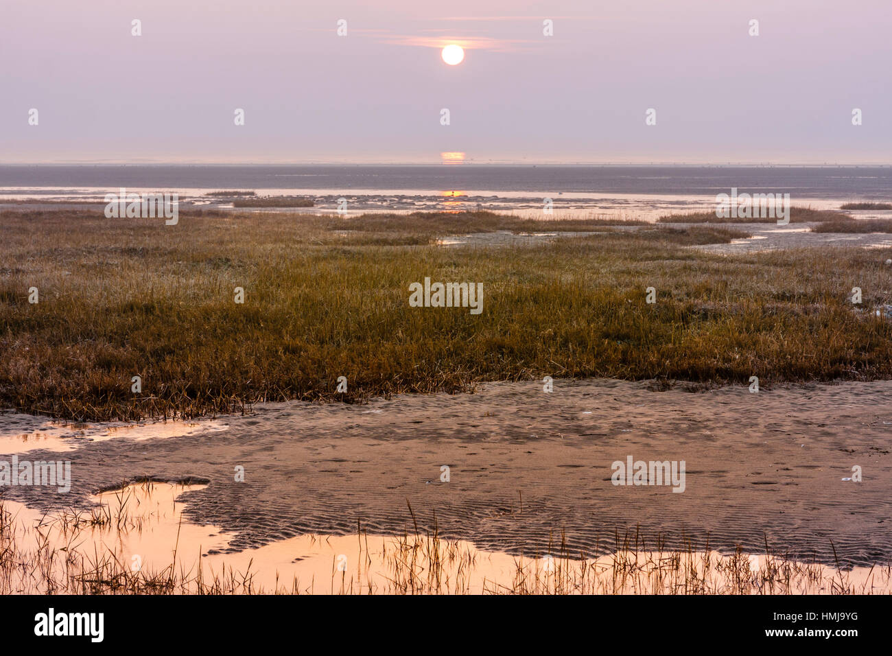 Sunrise over the English Channel at Pegwell Bay. Salt water marshes at ...
