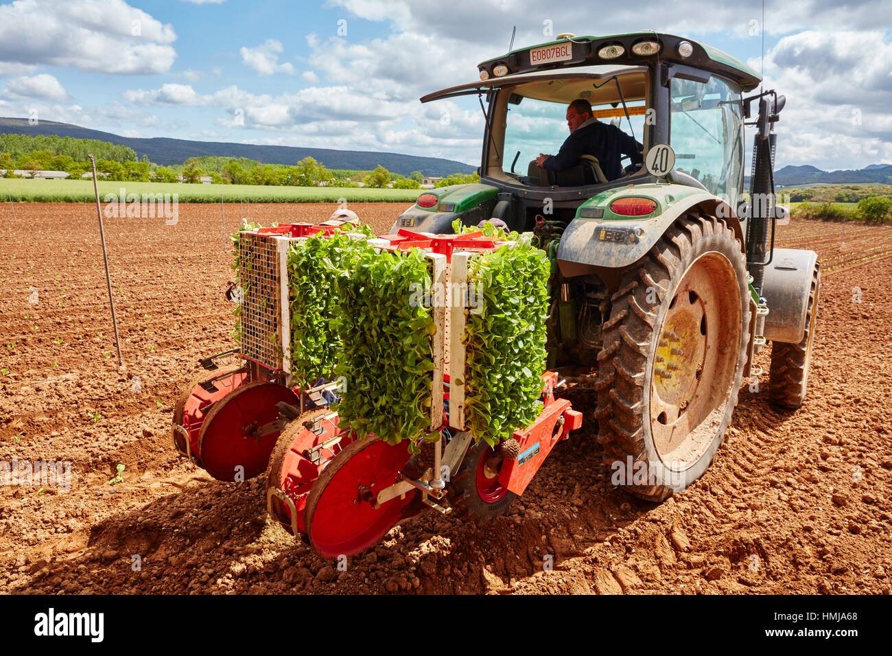 Farmers planting snuff plant hi-res stock photography and images - Alamy