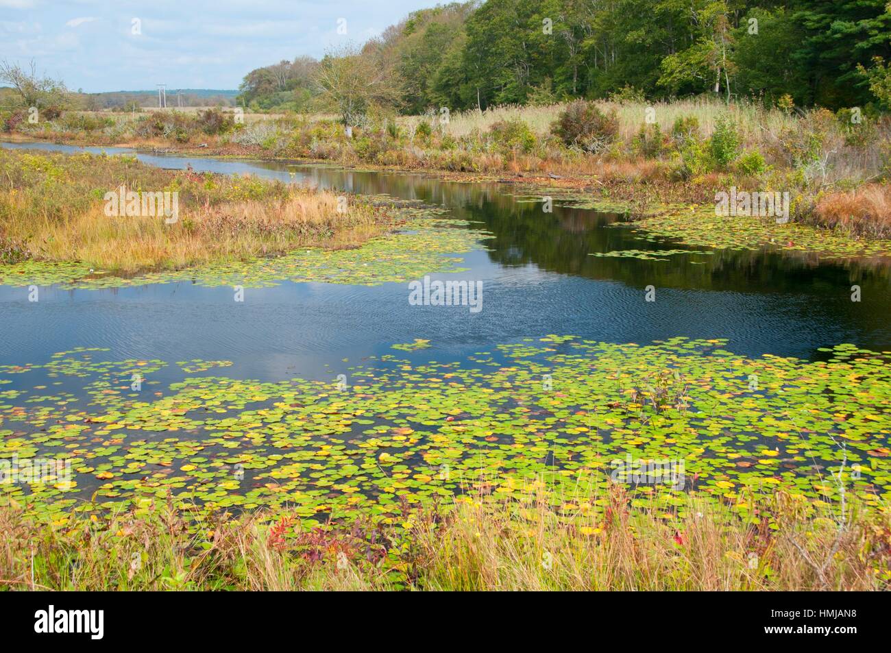 Great swamp rhode island hi-res stock photography and images - Alamy