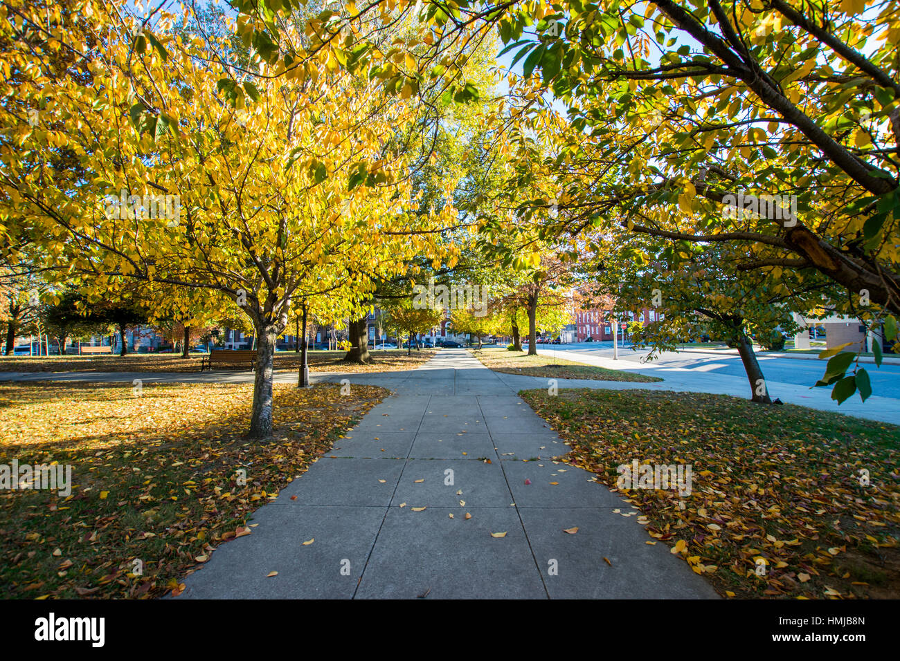 Franklin Square Park During Autumn in Baltimore, Maryland Stock Photo ...