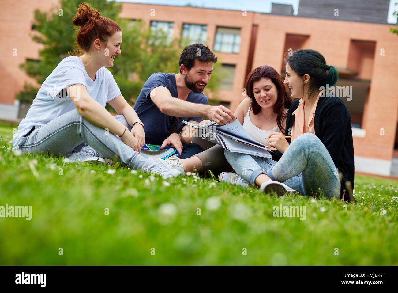 Students reviewing notes on campus lawn Stock Photo - Alamy