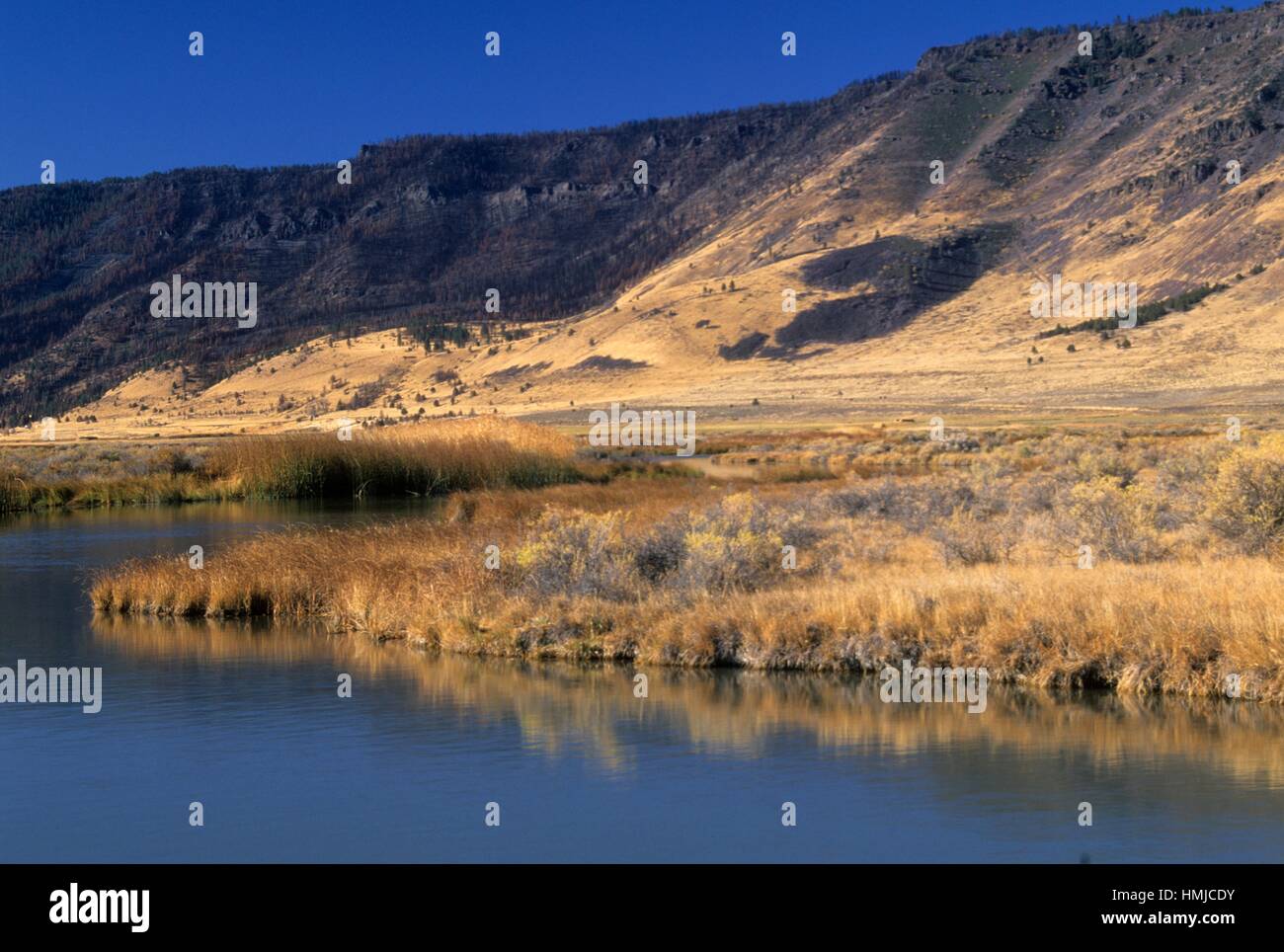 Ana river summer lake wildlife hi-res stock photography and images - Alamy