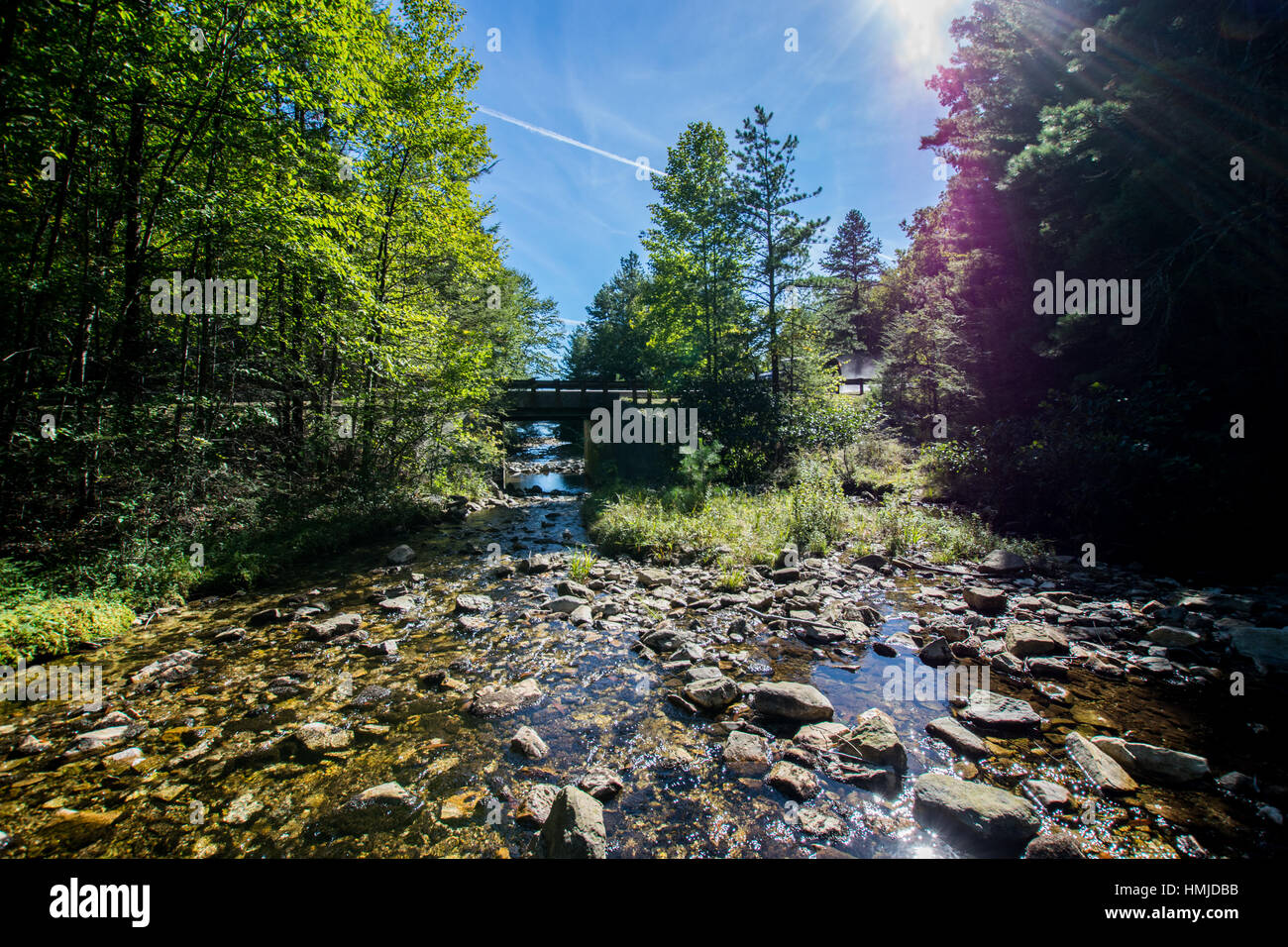 Overlooking Long Pine Reservoir in Michaux State Forest, Pennsylvania ...