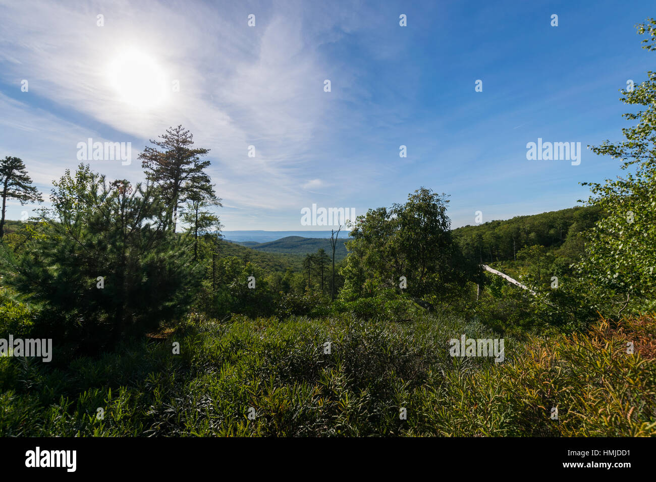 Overlooking Long Pine Reservoir in Michaux State Forest, Pennsylvania ...