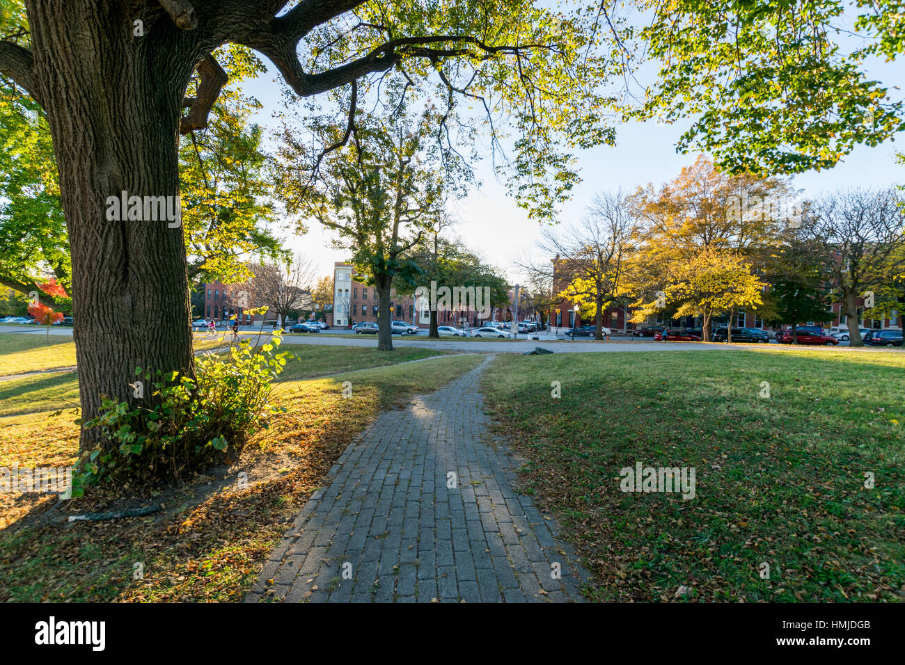Patterson Park During Autumn in Baltimore, Maryland Stock Photo - Alamy