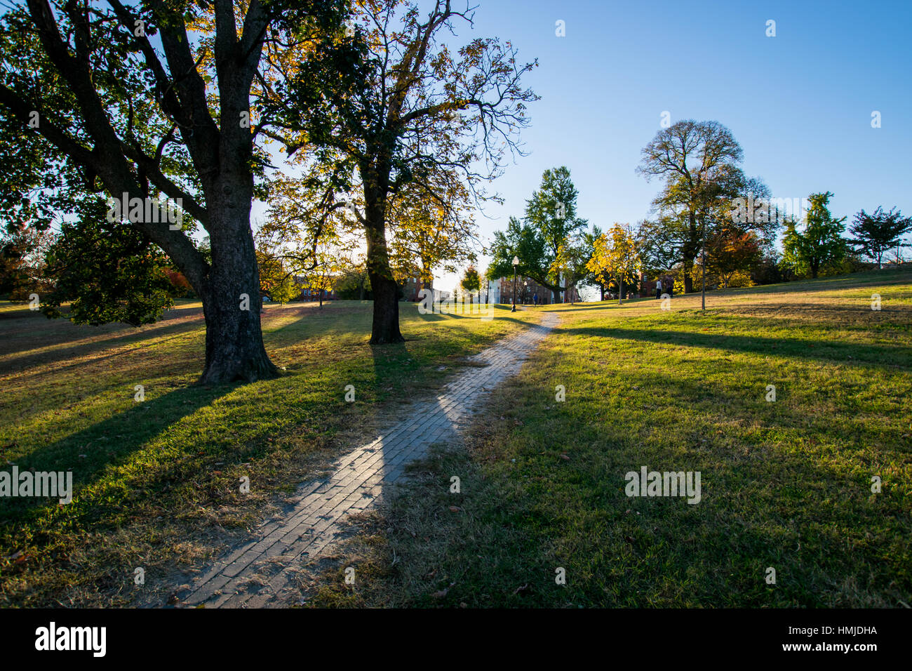 Patterson Park During Autumn in Baltimore, Maryland Stock Photo - Alamy