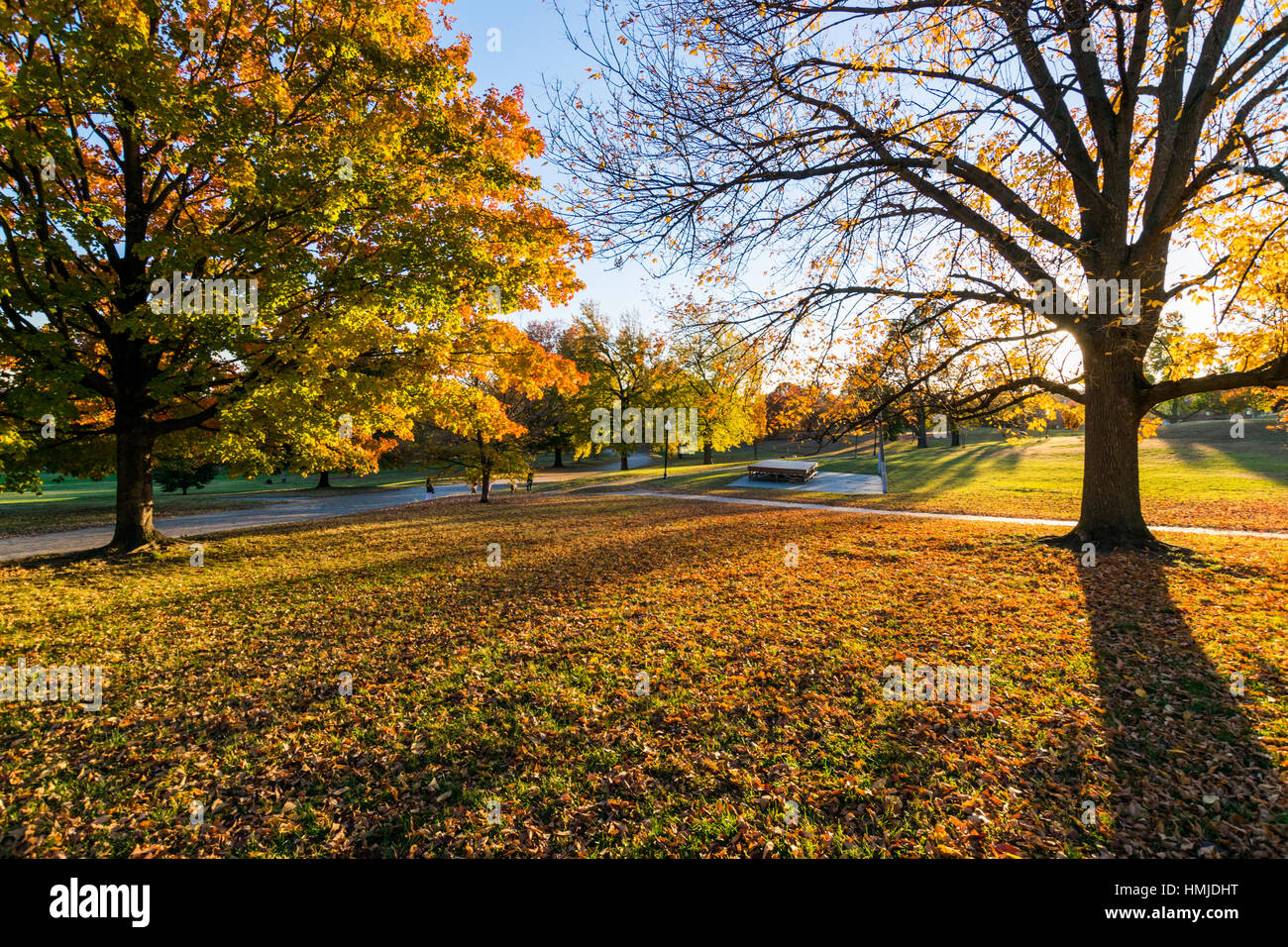 Patterson Park During Autumn in Baltimore, Maryland Stock Photo - Alamy