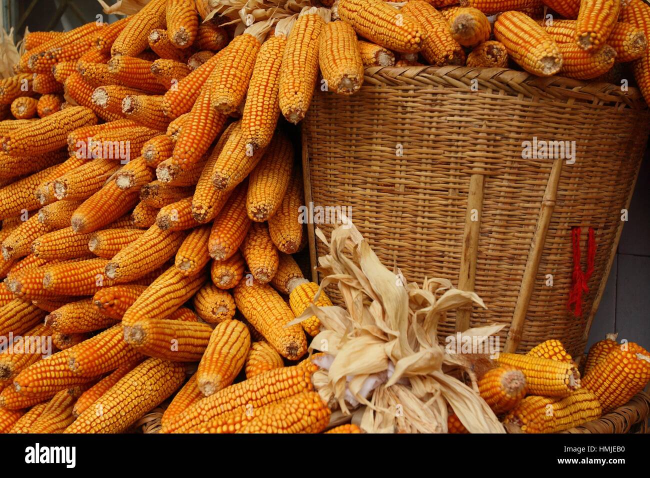 Corn cobs drying, china, asia Stock Photo - Alamy