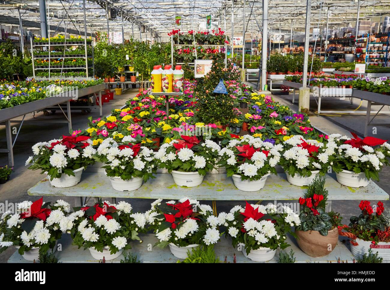 Contemporary town garden hi-res stock photography and images - Alamy