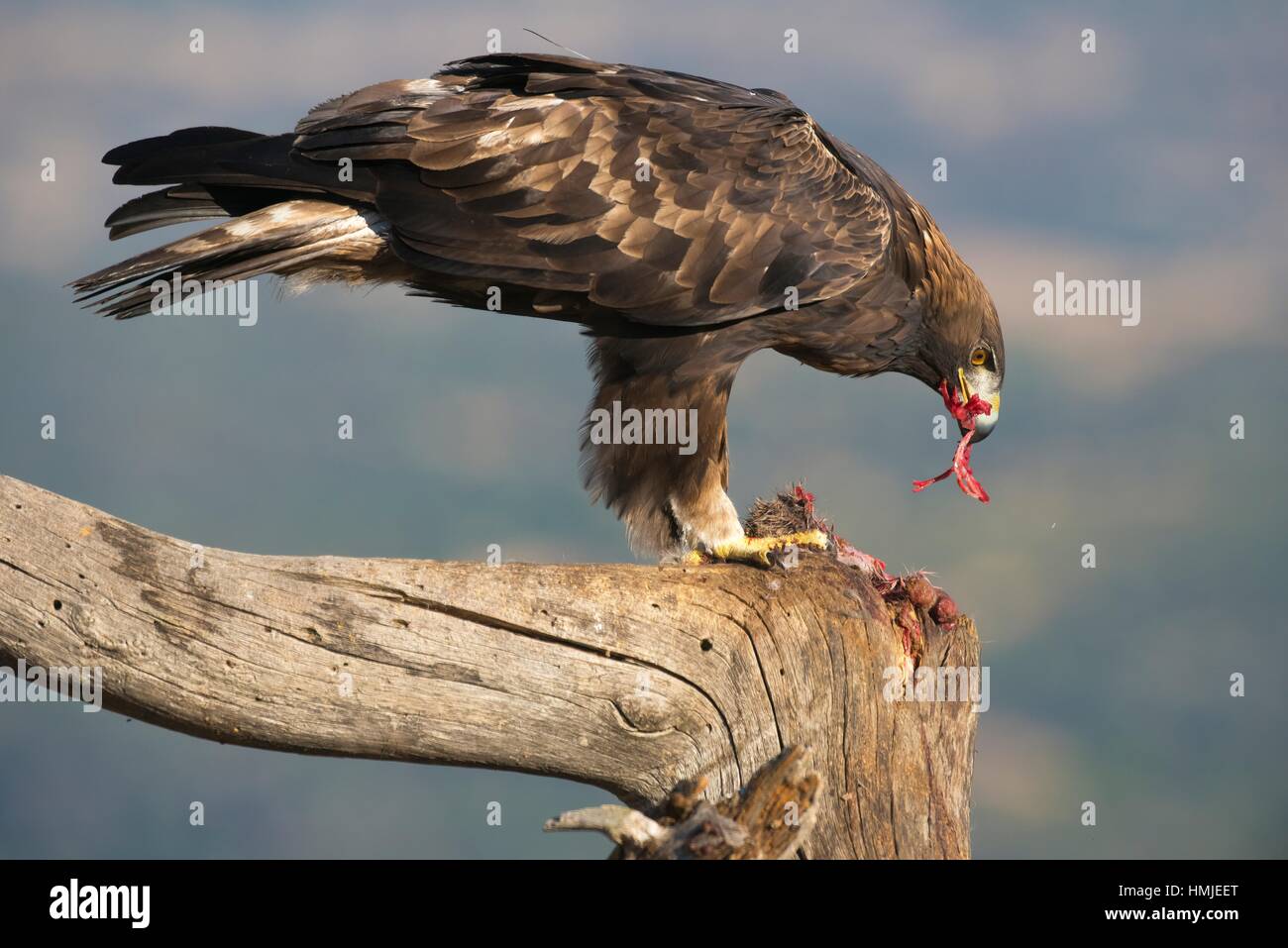 Nice flow hi-res stock photography and images - Alamy