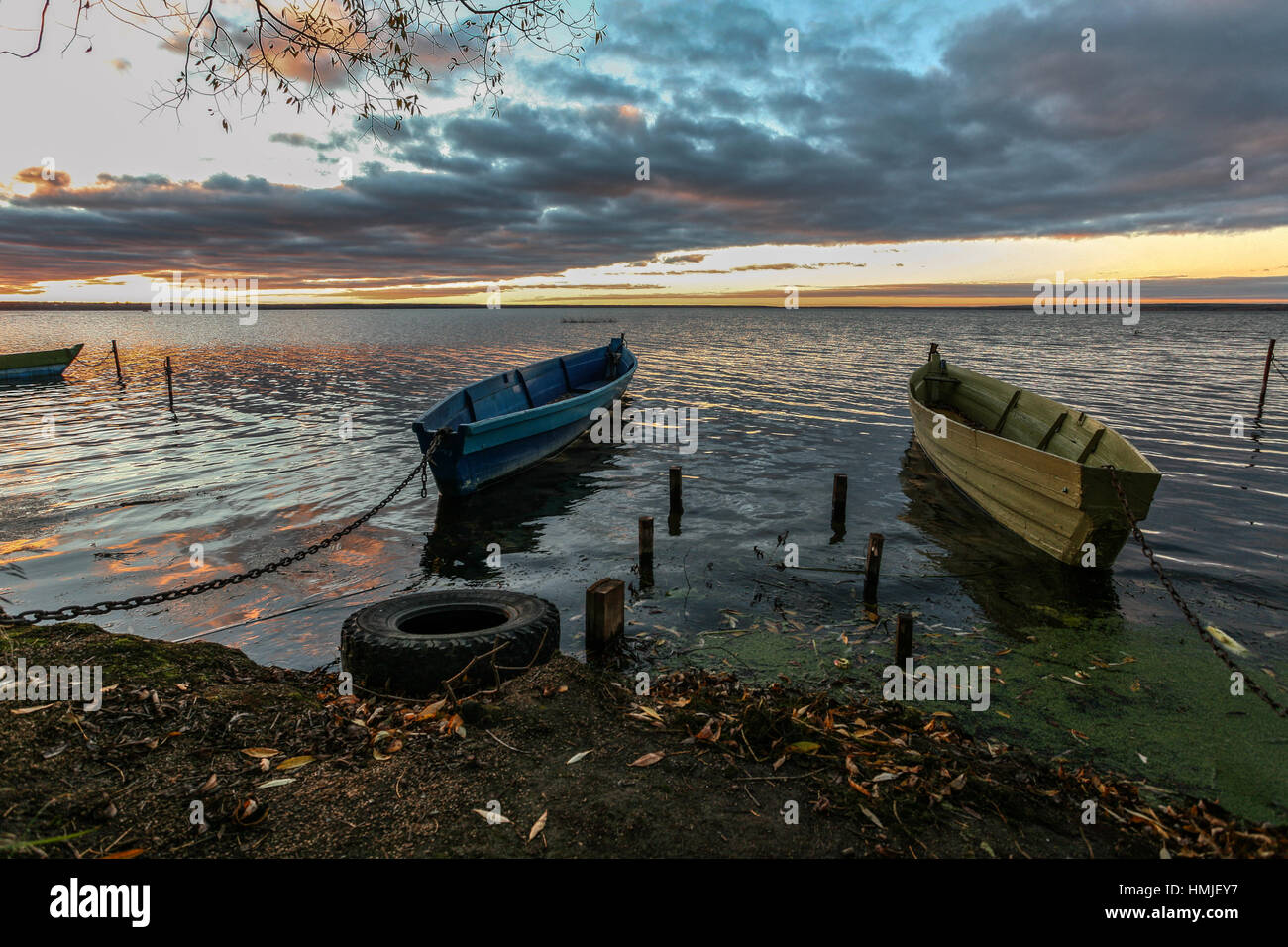 plot with an automobile tire Stock Photo - Alamy