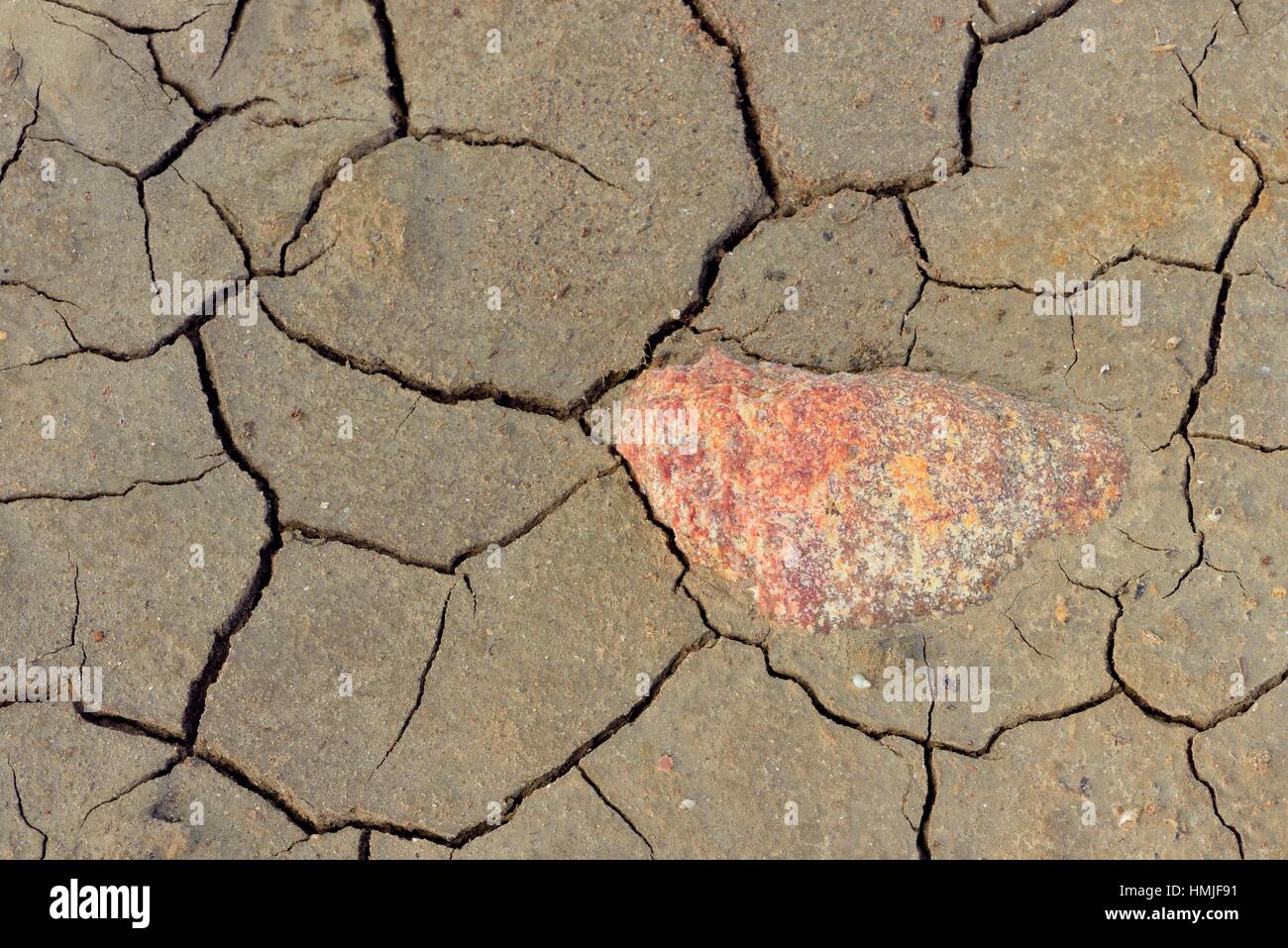 Wood Buffalo National Park Salt Plains High Resolution Stock ...