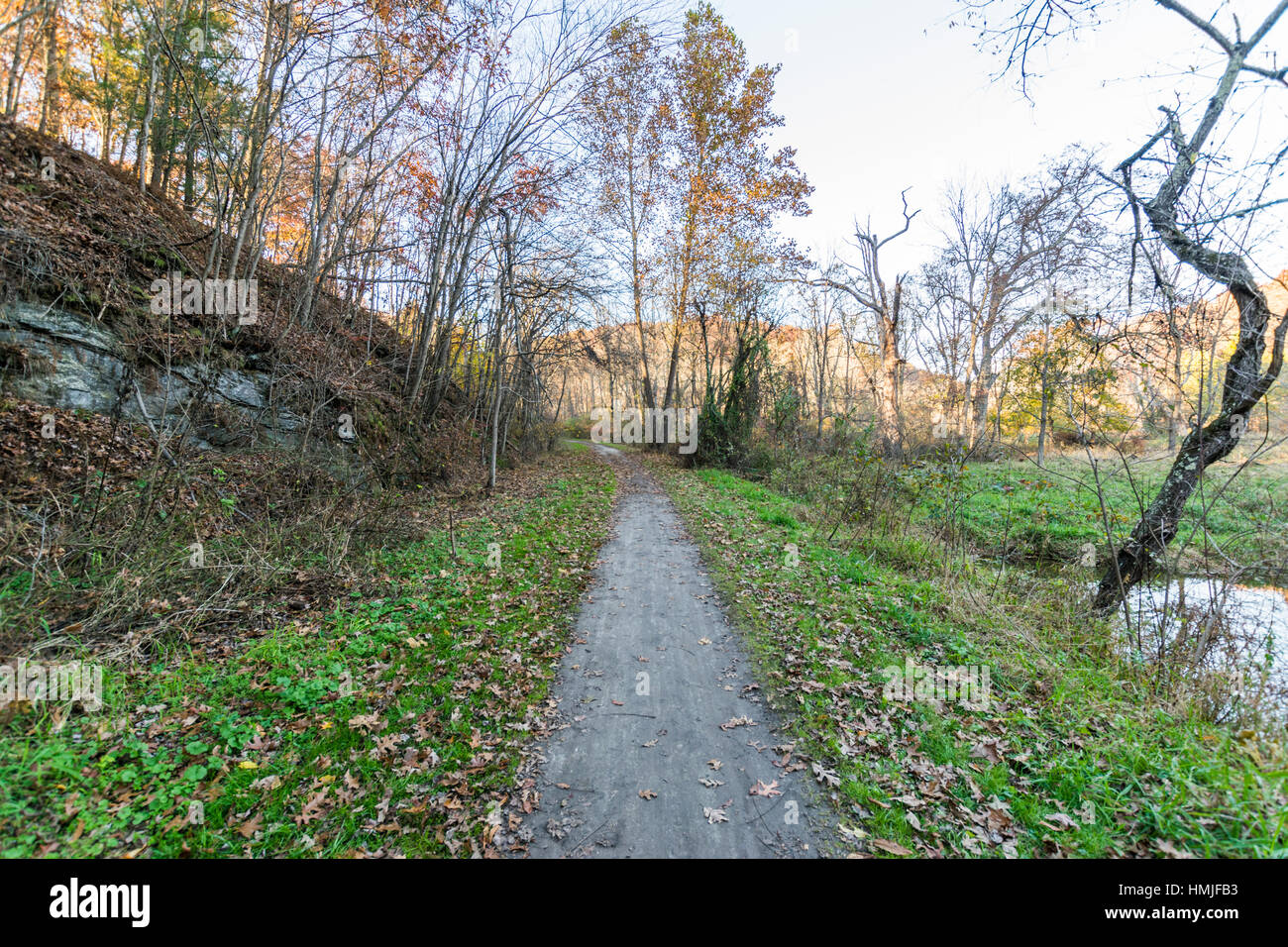 Beetree hi-res stock photography and images - Alamy