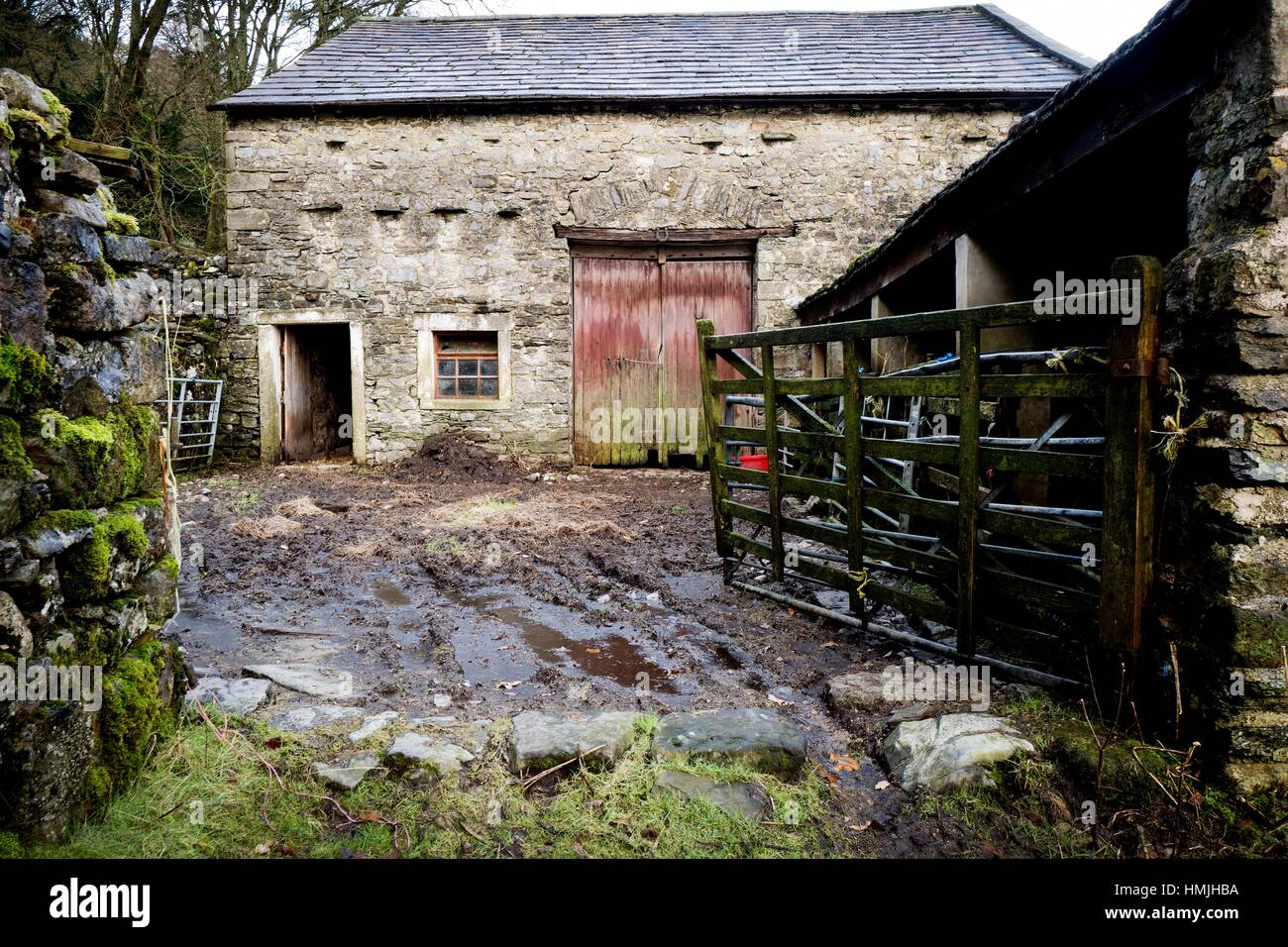 An Old barn from a sheep farm in Wharfe Dale, Buckden, Skipton ...