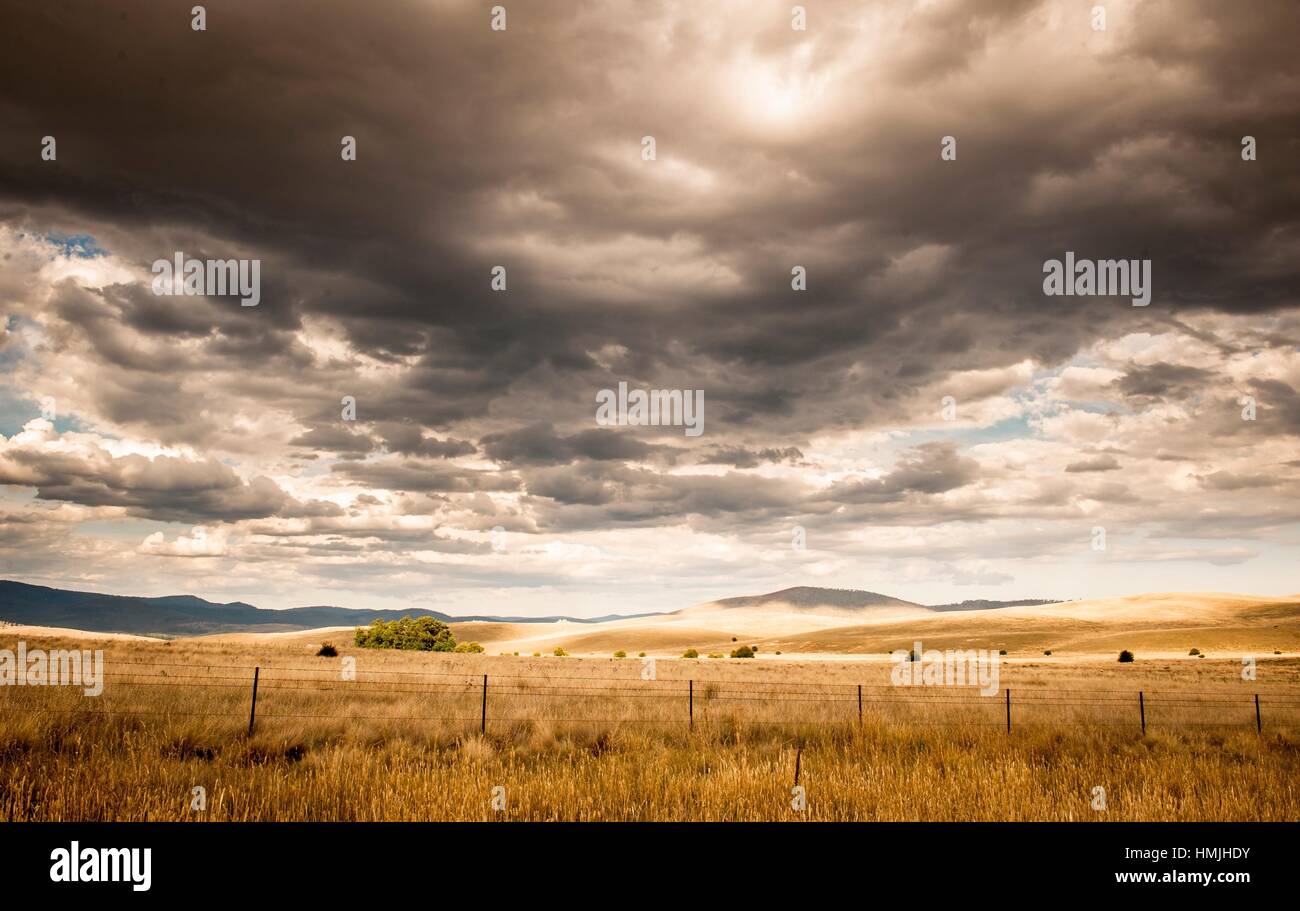 Yass Nsw High Resolution Stock Photography and Images - Alamy