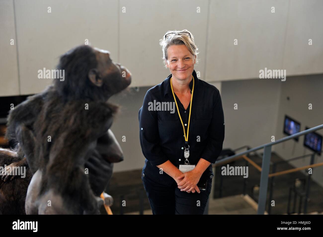 Hominin australopithecus afarensis hi-res stock photography and images ...