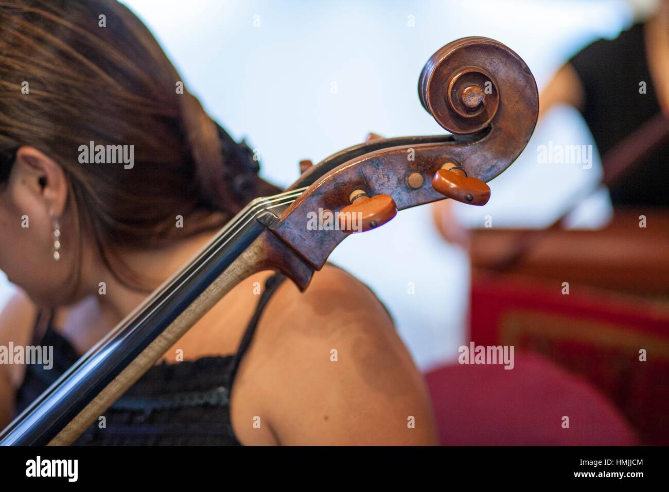 Inside cello music instrument hi-res stock photography and images - Alamy