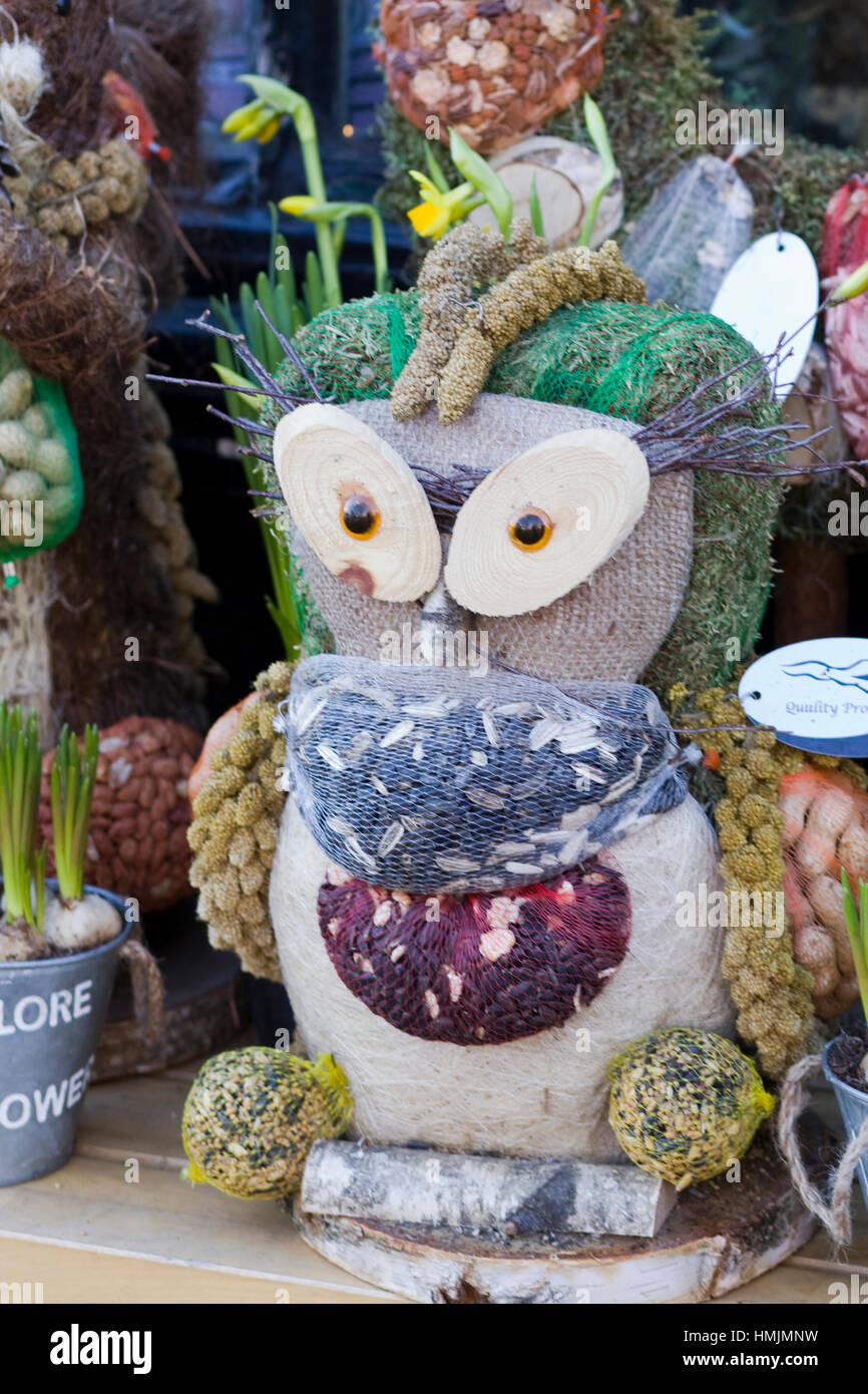 Owl made from seeds hi-res stock photography and images - Alamy Owl made from seeds hi-res stock photography and images - Alamy
