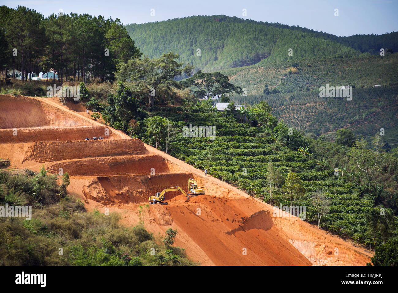 Diggers excavate terraces for coffee beans plantations in Vietnam Stock ...