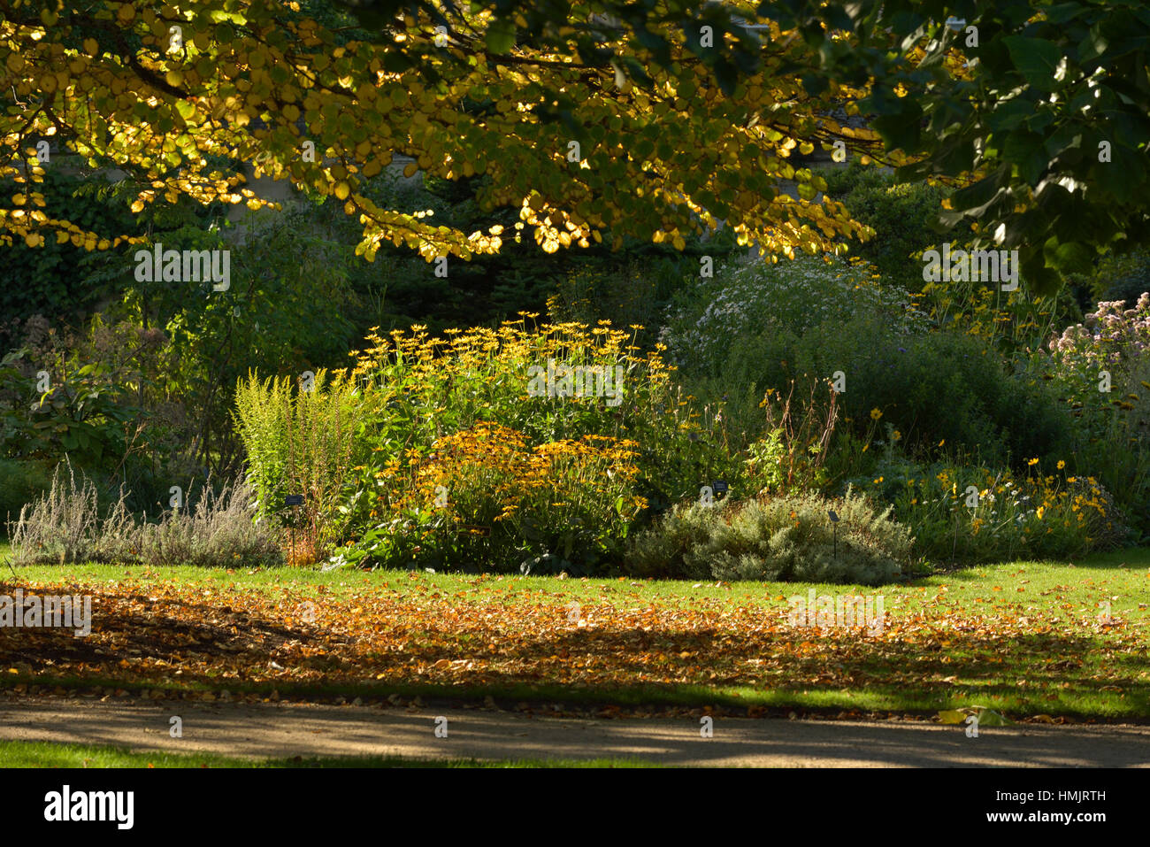 Oxford Botanic Garden Stock Photo - Alamy