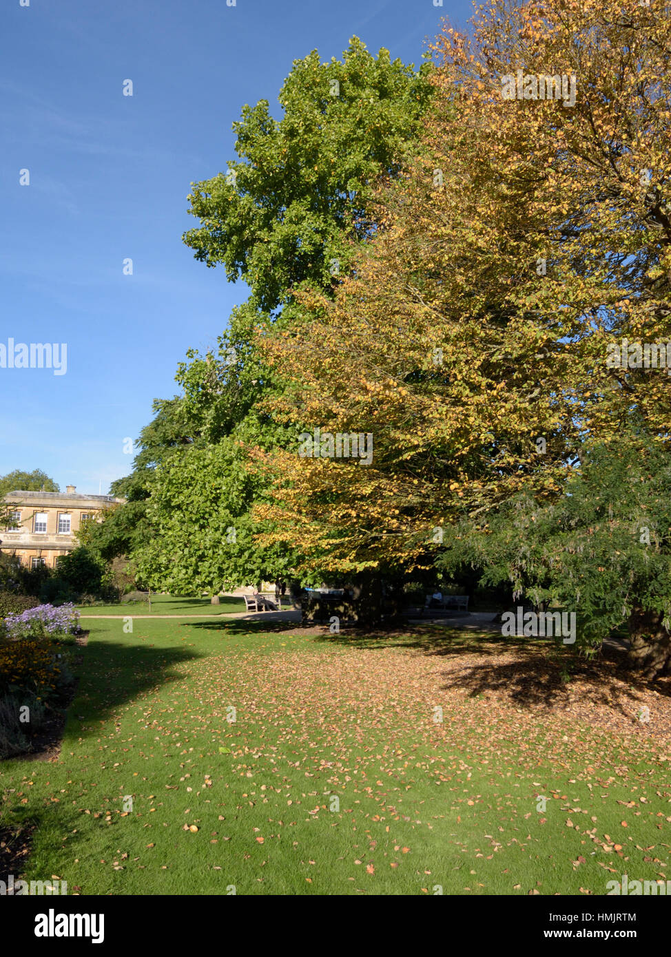 Oxford and botanic gardens hi-res stock photography and images - Alamy