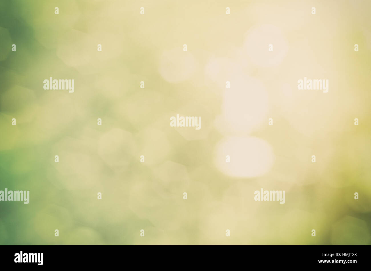 Natural light bokeh Stock Photo - Alamy