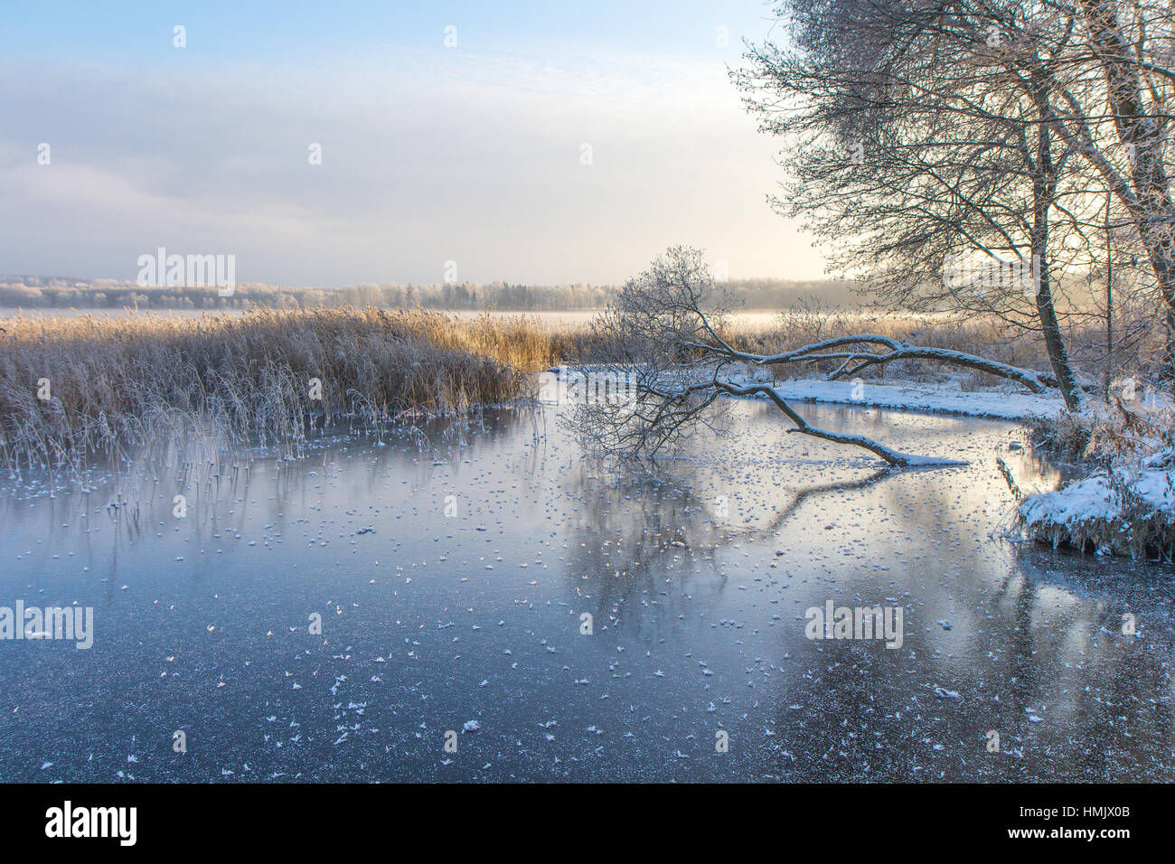 Nature in first rays of sunlight during a frosty winter morning Stock ...