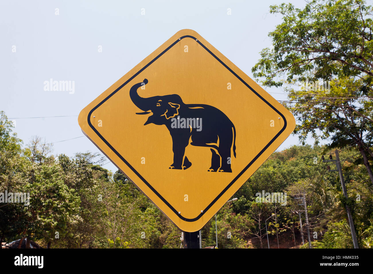 Road sign caution elephants, elephant camp, Phuket Province, Thailand ...