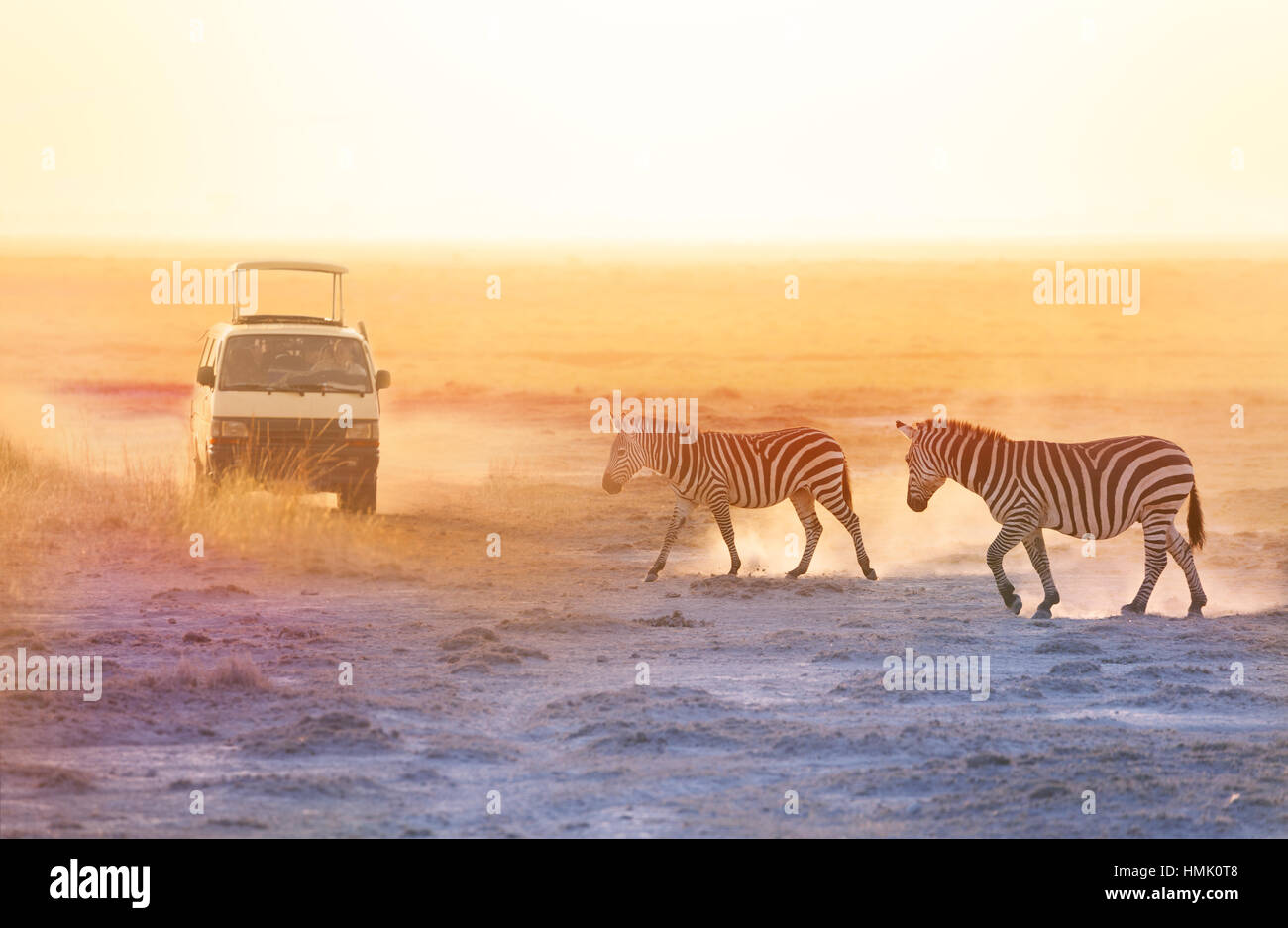 Jeep safari zebra hi-res stock photography and images - Alamy