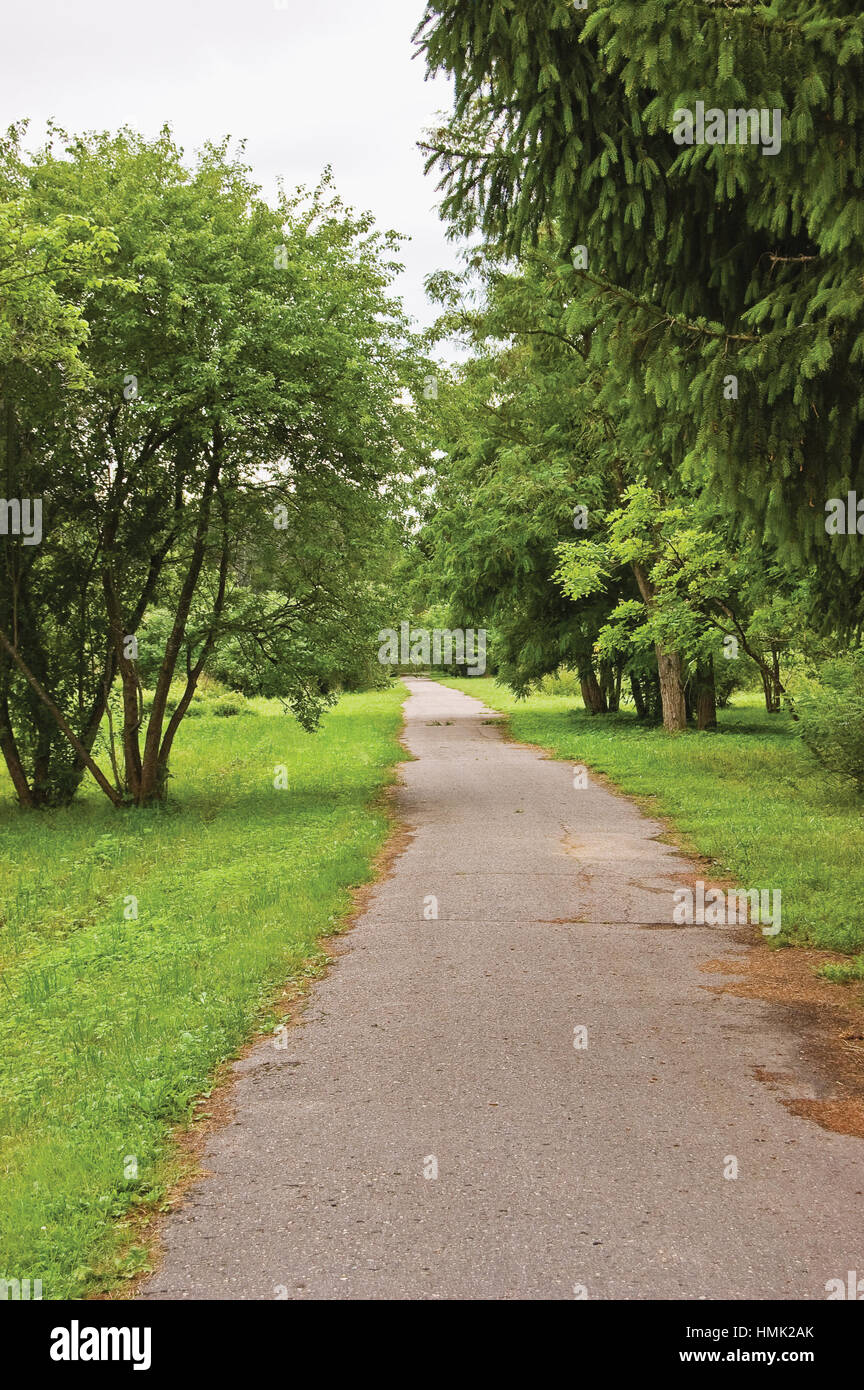 Old pathway in woods, aged weathered tarmac asphalt trail, large ...