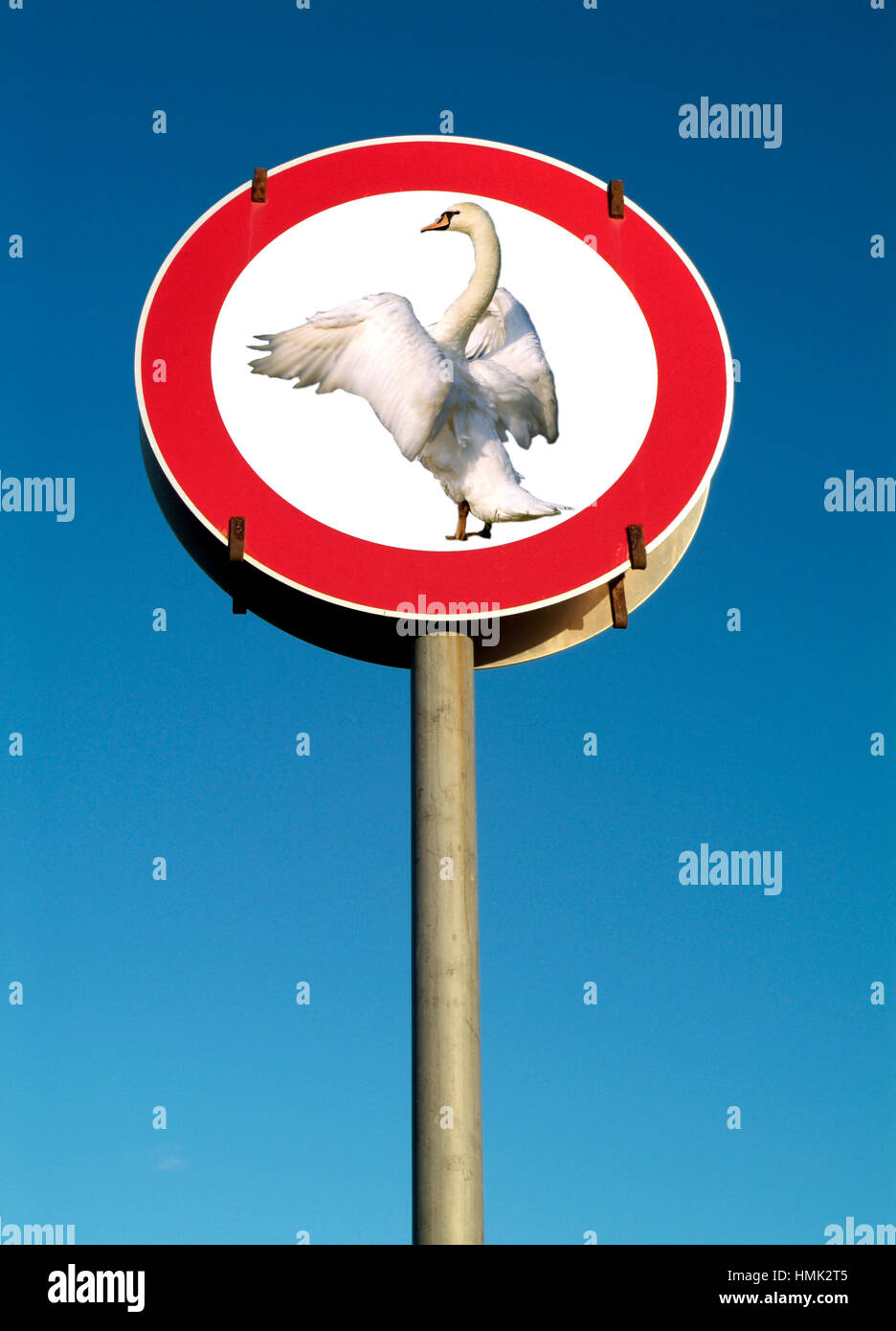 Swan on prohibition sign Stock Photo - Alamy