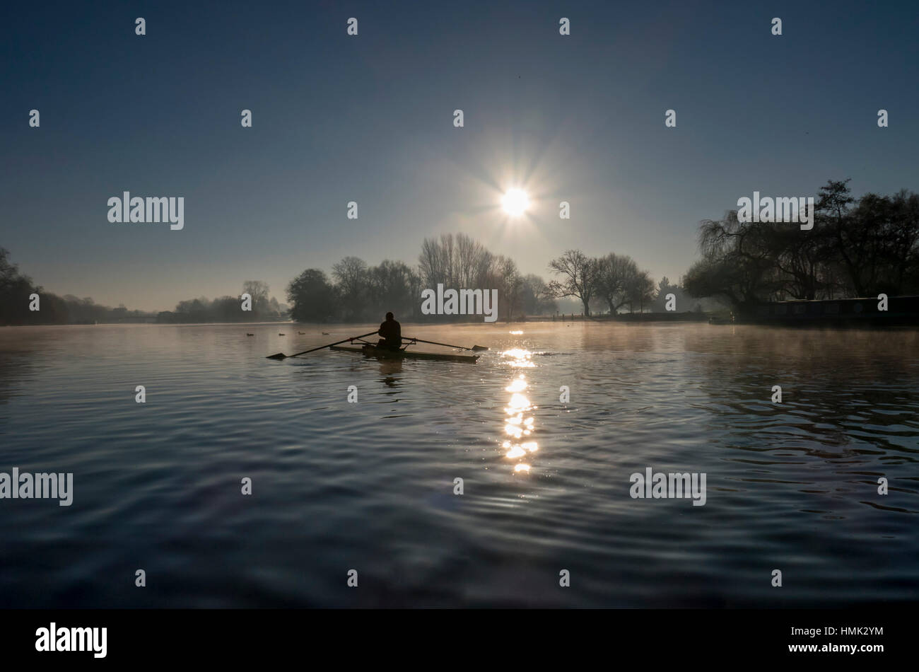 Sculler at sunrise Stock Photo - Alamy
