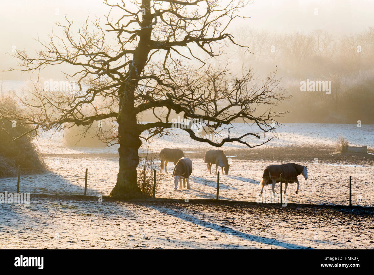 Winter landscape Surrey Stock Photo - Alamy