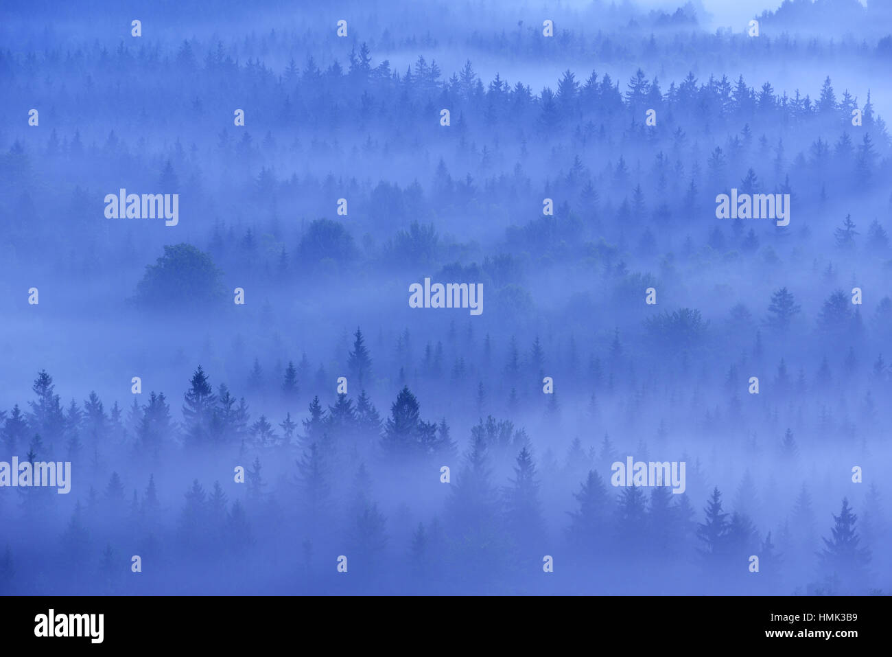 View from Kleiner Winterberg, Fog over forest in Schandt, Elbe ...