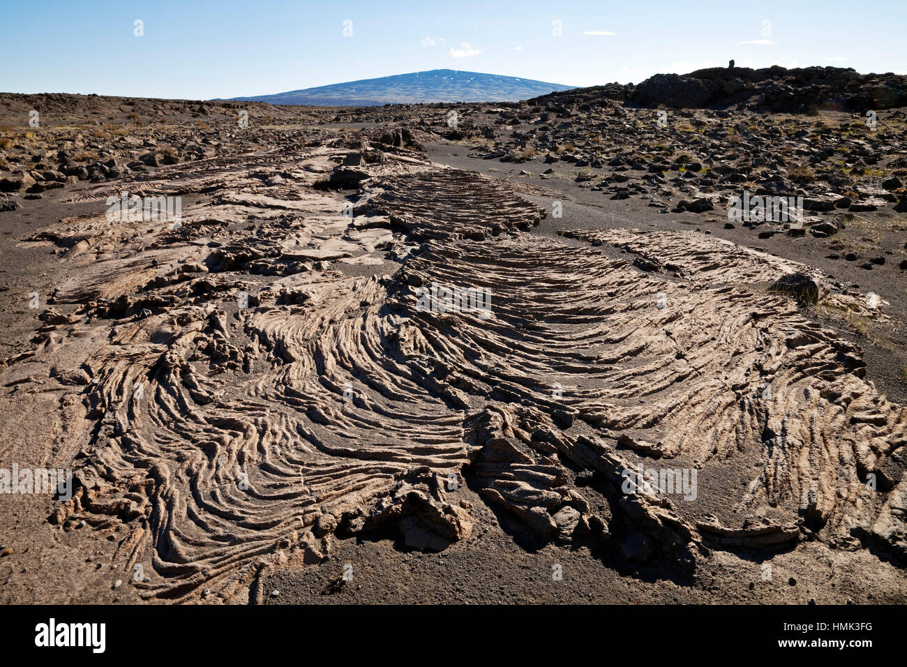 Solidified ropy lava, shield volcano Skjaldbreiður at back, Iceland ...