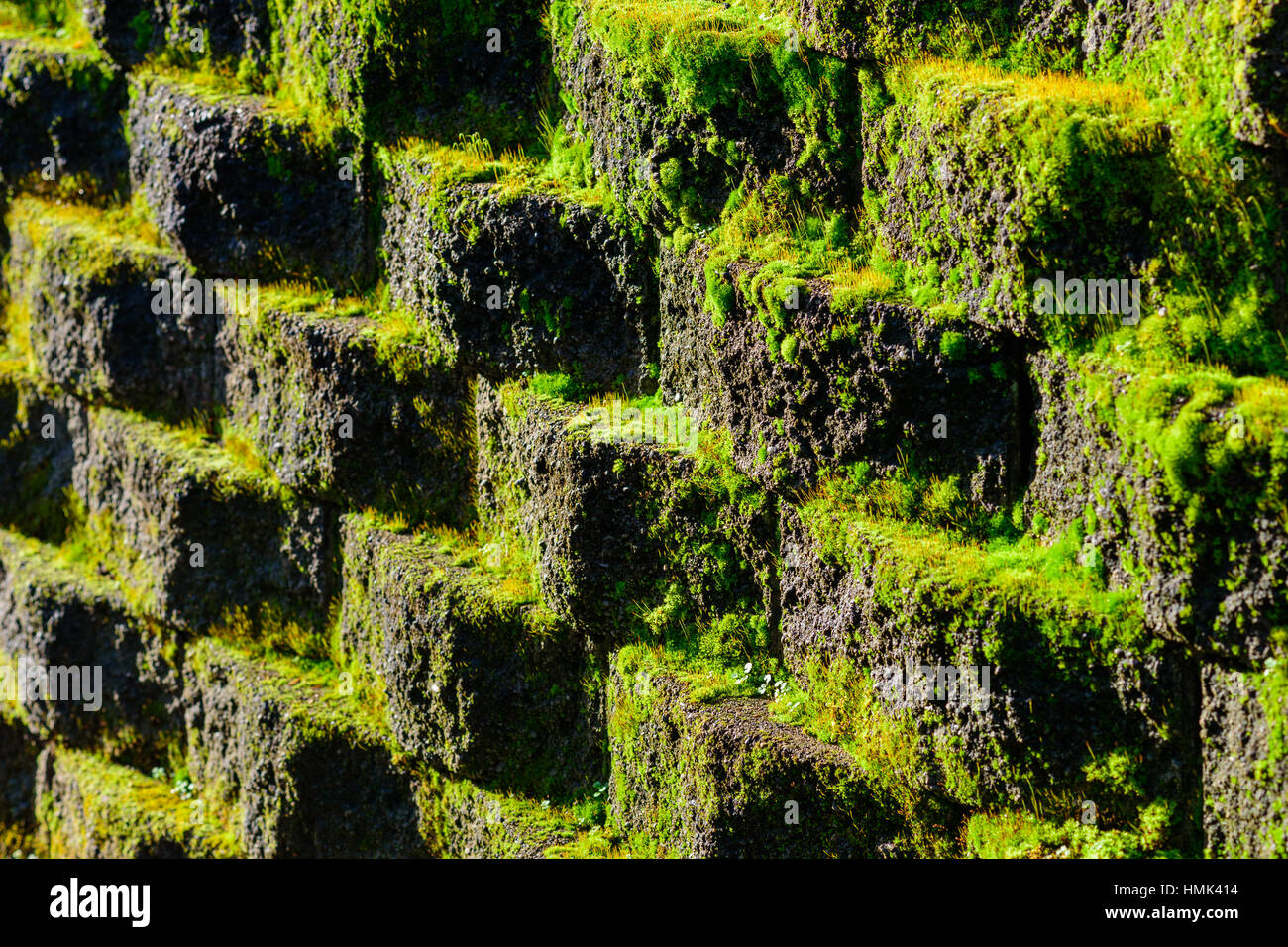 Moss on bricks hi-res stock photography and images - Alamy