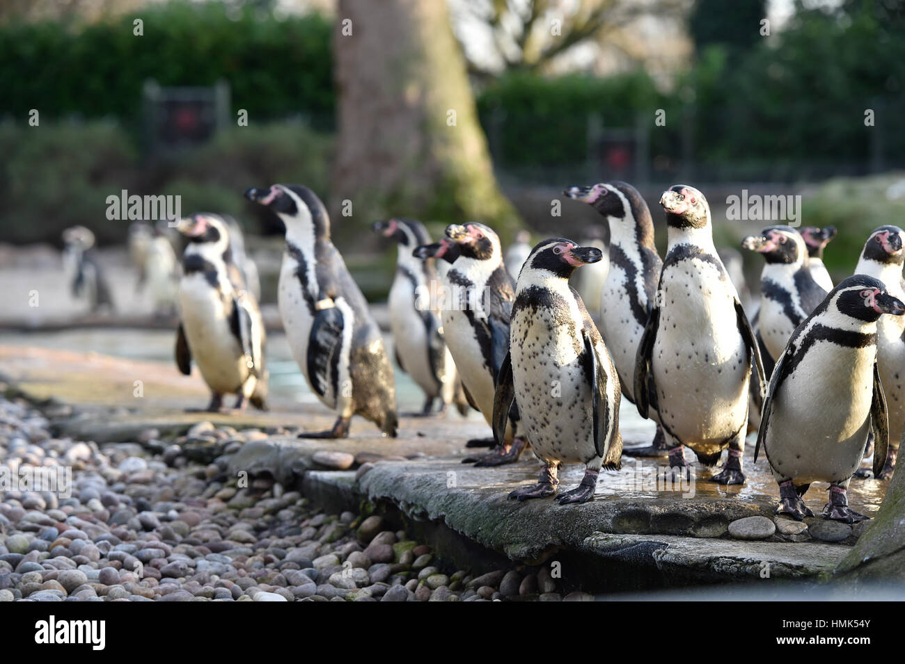 ZSL London carries out its annual stock take at London Zoo, Regents ...